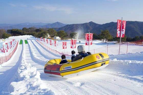PyeongChang Olympic Venue: Phoenix Snow Park One-Day Tour - Klook